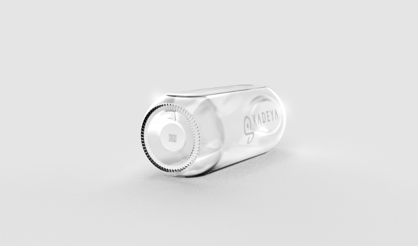Kadeya: Building a network of digitally connected, reusable water ...