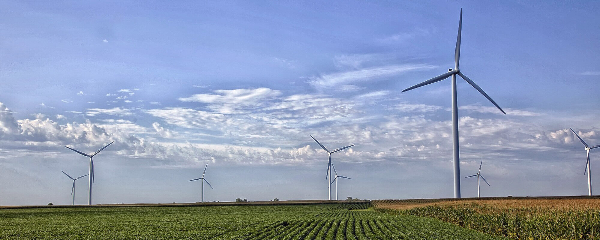 Evergreen Climate Innovations Announces $110M To Invest In Cleantech ...